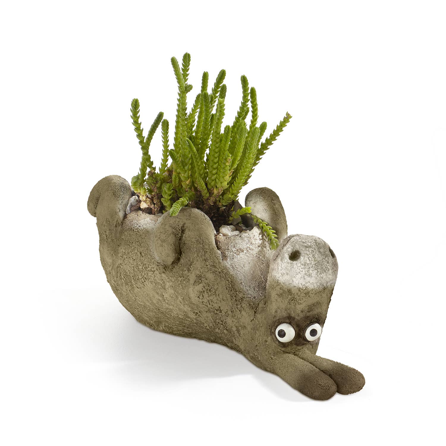 Chester, the Donkey Blobhouse Planter (Laying down) | Little Red ...