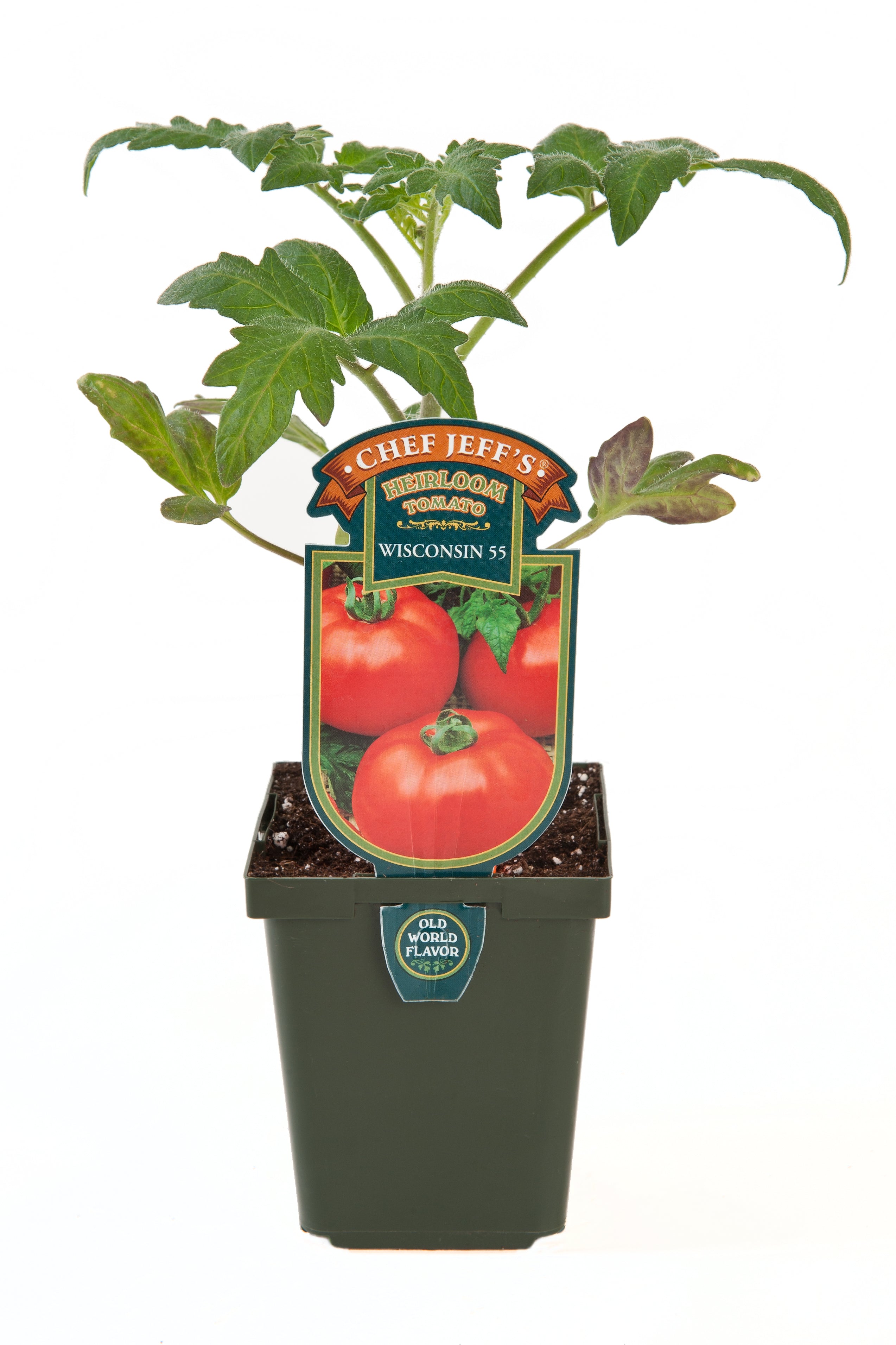 4" Chef Jeff's JULIET TOMATO – Little Red Nursery, LLC