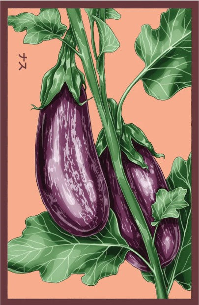 Aubergine Jewel Marble F1 Vegetable Seeds Packet | Little Red Nursery, LLC