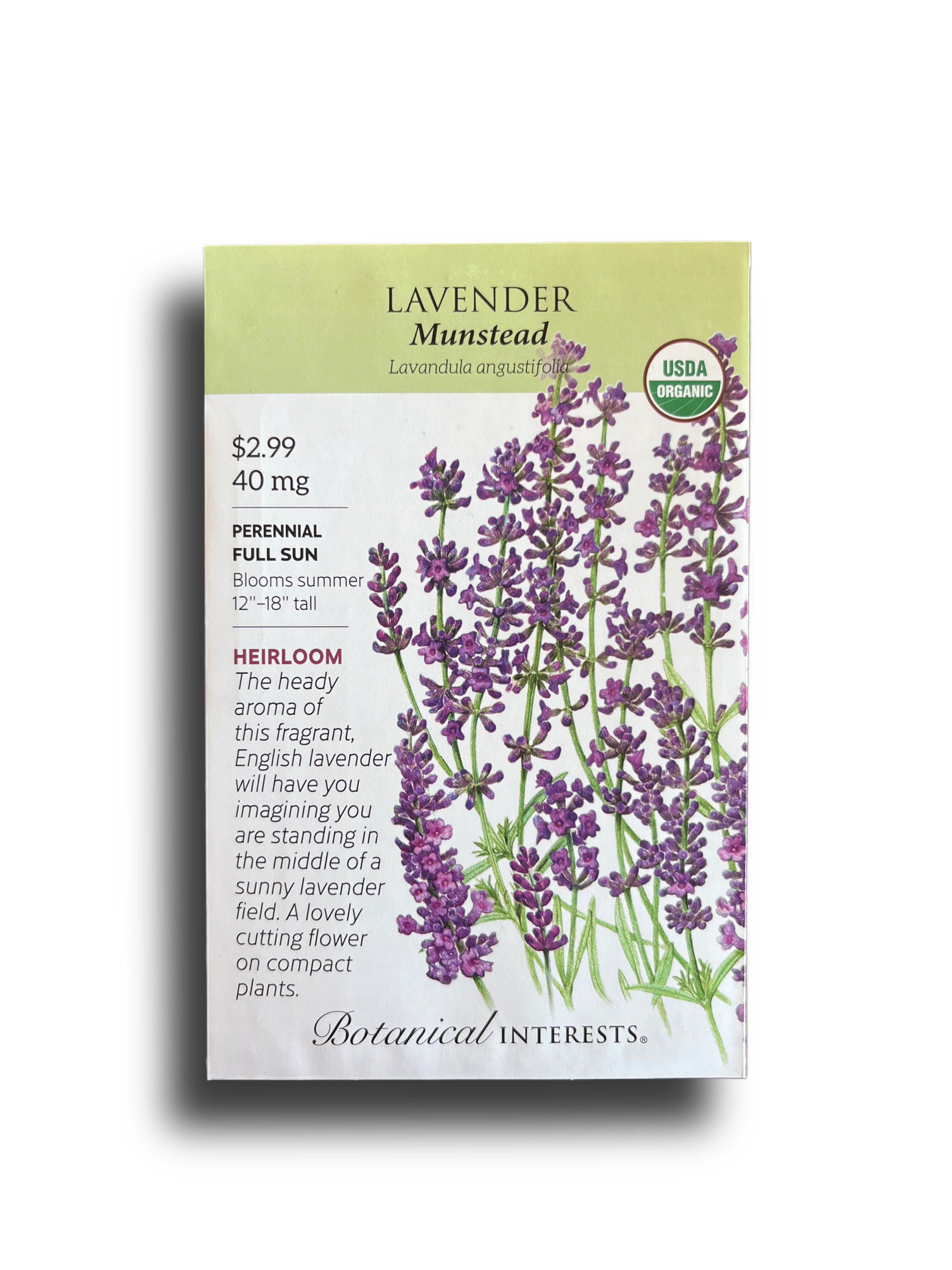 Lavender Dwarf Munstead Org – Little Red Nursery, LLC