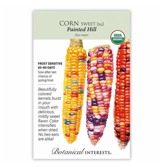 Painted Hill Org Sweet Corn Seeds – Little Red Nursery, LLC