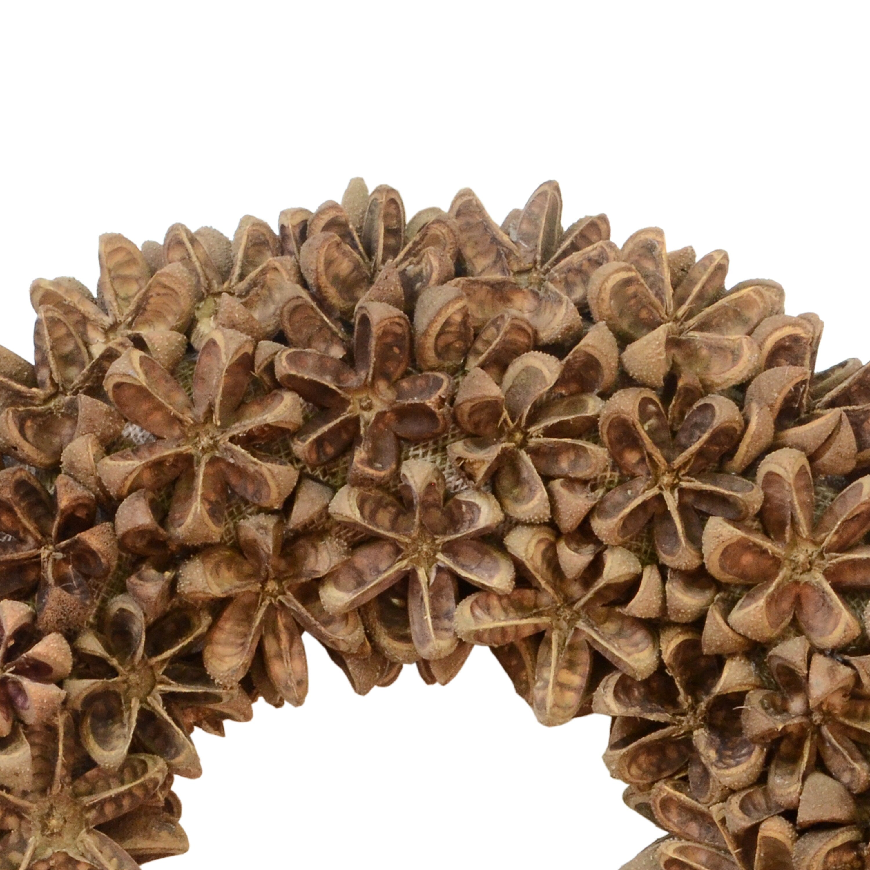 Vickerman Natural Amazonian Flower Wreath – Little Red Nursery, LLC