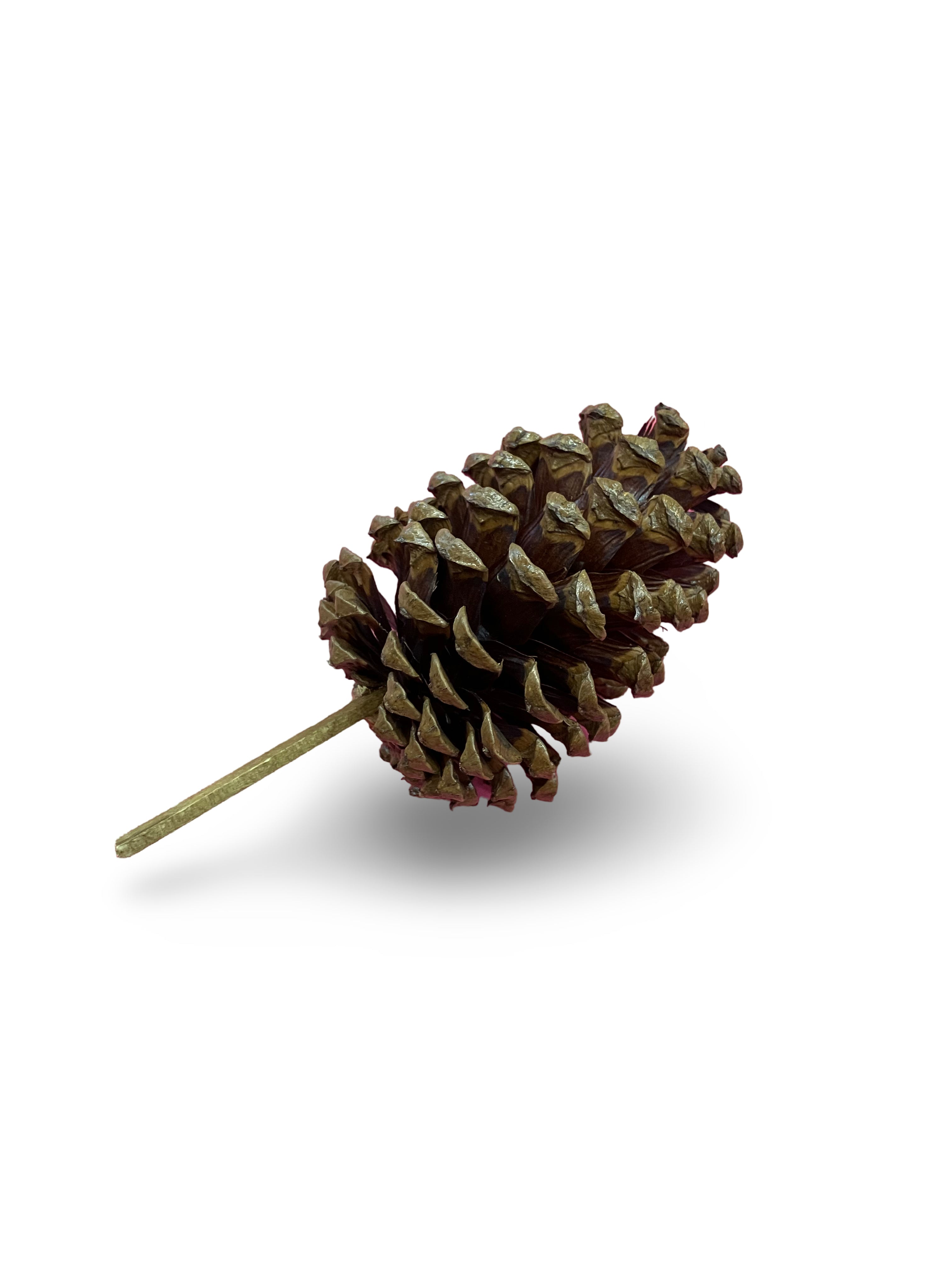 Wired Individual Pine Cone for Christmas Tree – Little Red Nursery, LLC