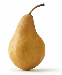 Pear Tree | Little Red Nursery, LLC