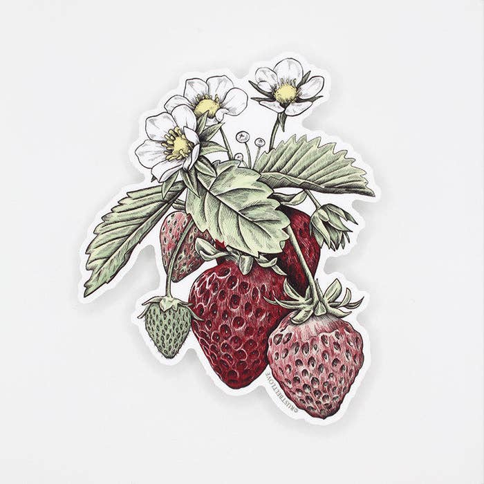 Strawberry Sticker – Little Red Nursery, LLC