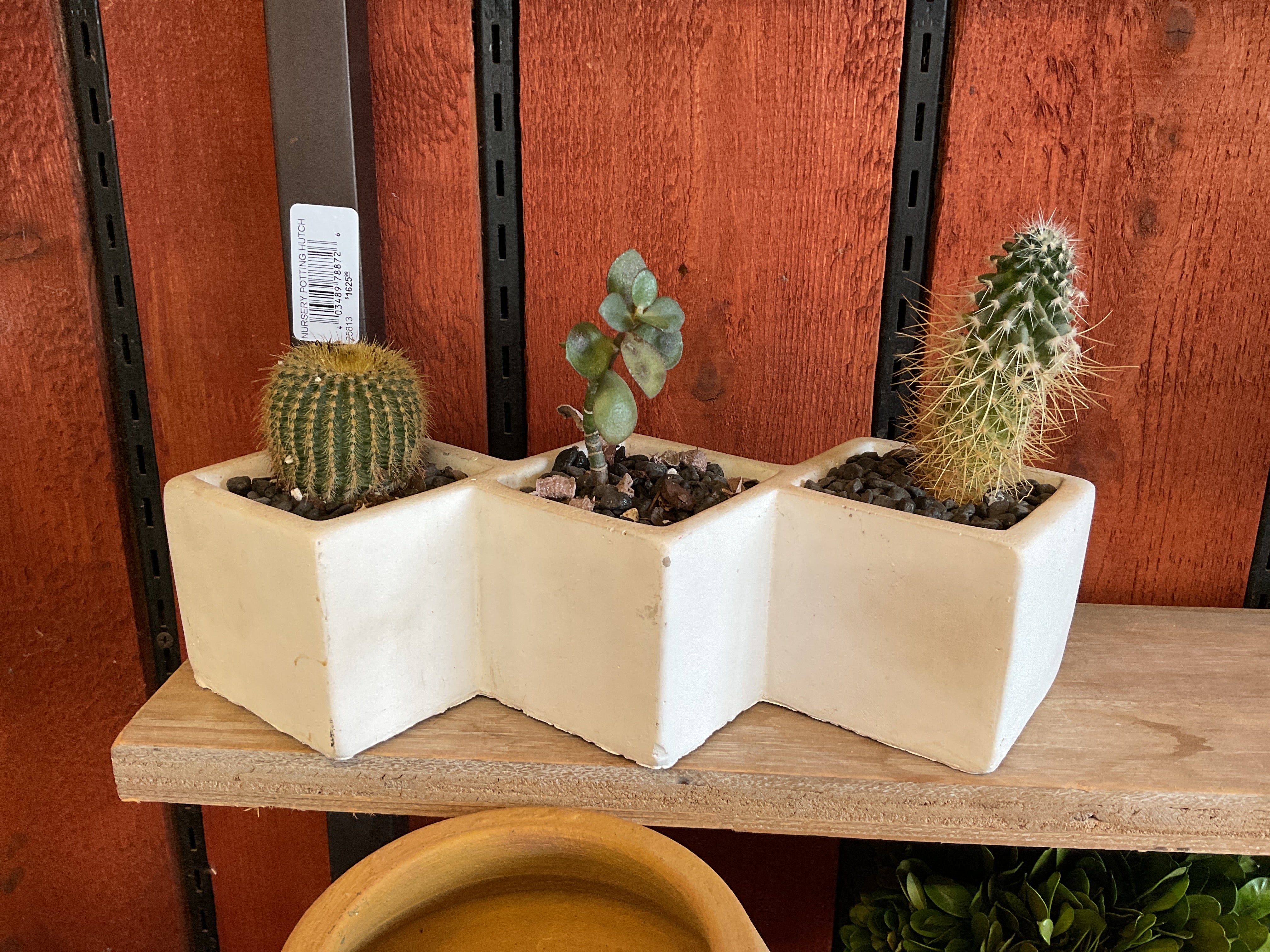 3 connected square cactus planter – Little Red Nursery, LLC