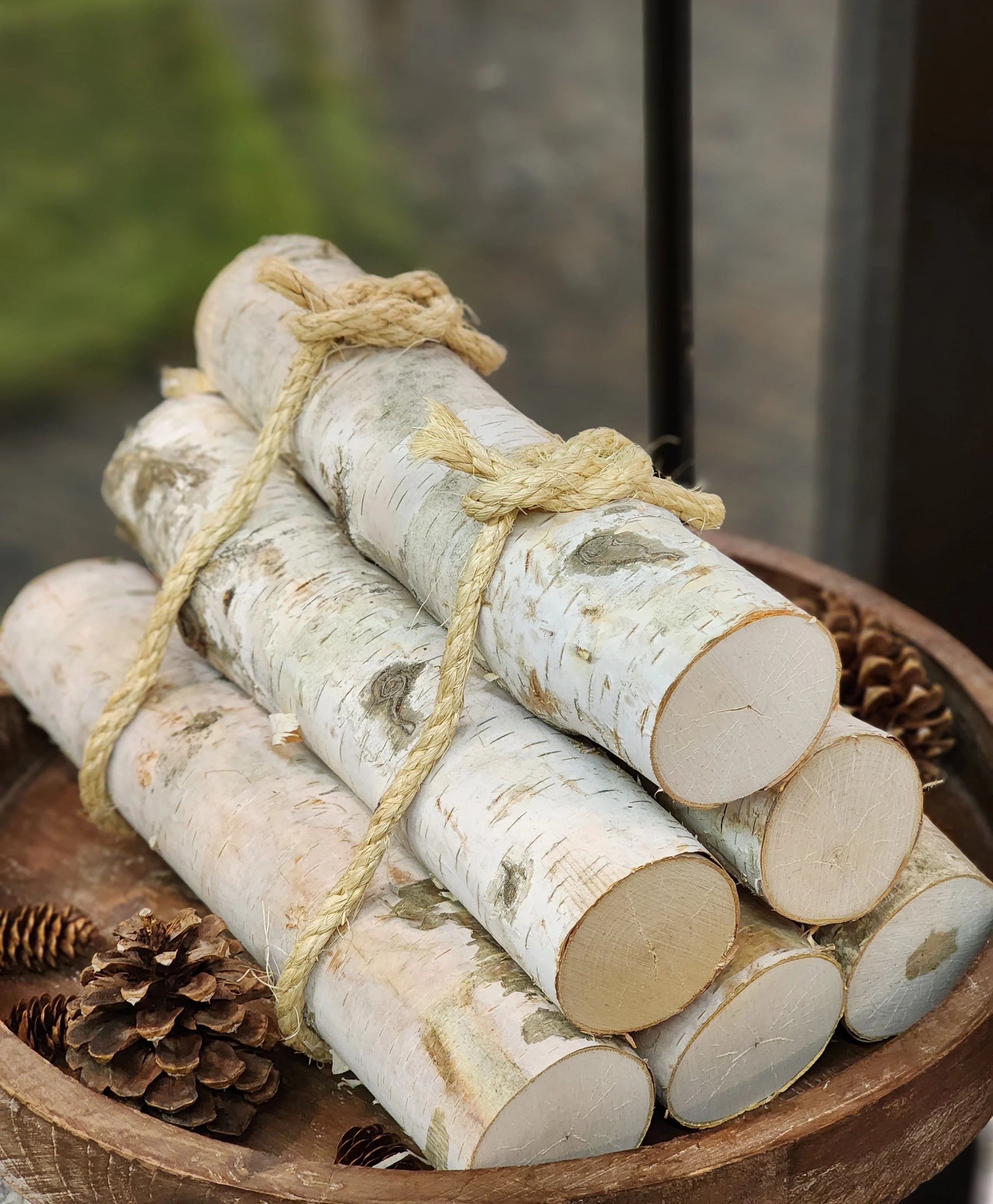 White Birch Decorative Log Bundles – Little Red Nursery, LLC