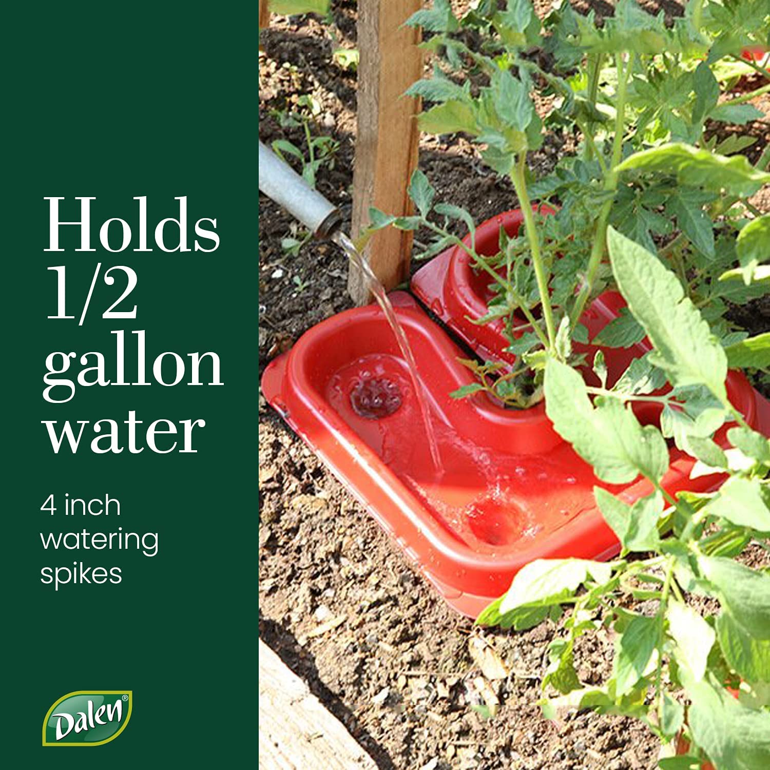 Automator Tomato Tray by Dalen 3 pack | Little Red Nursery, LLC