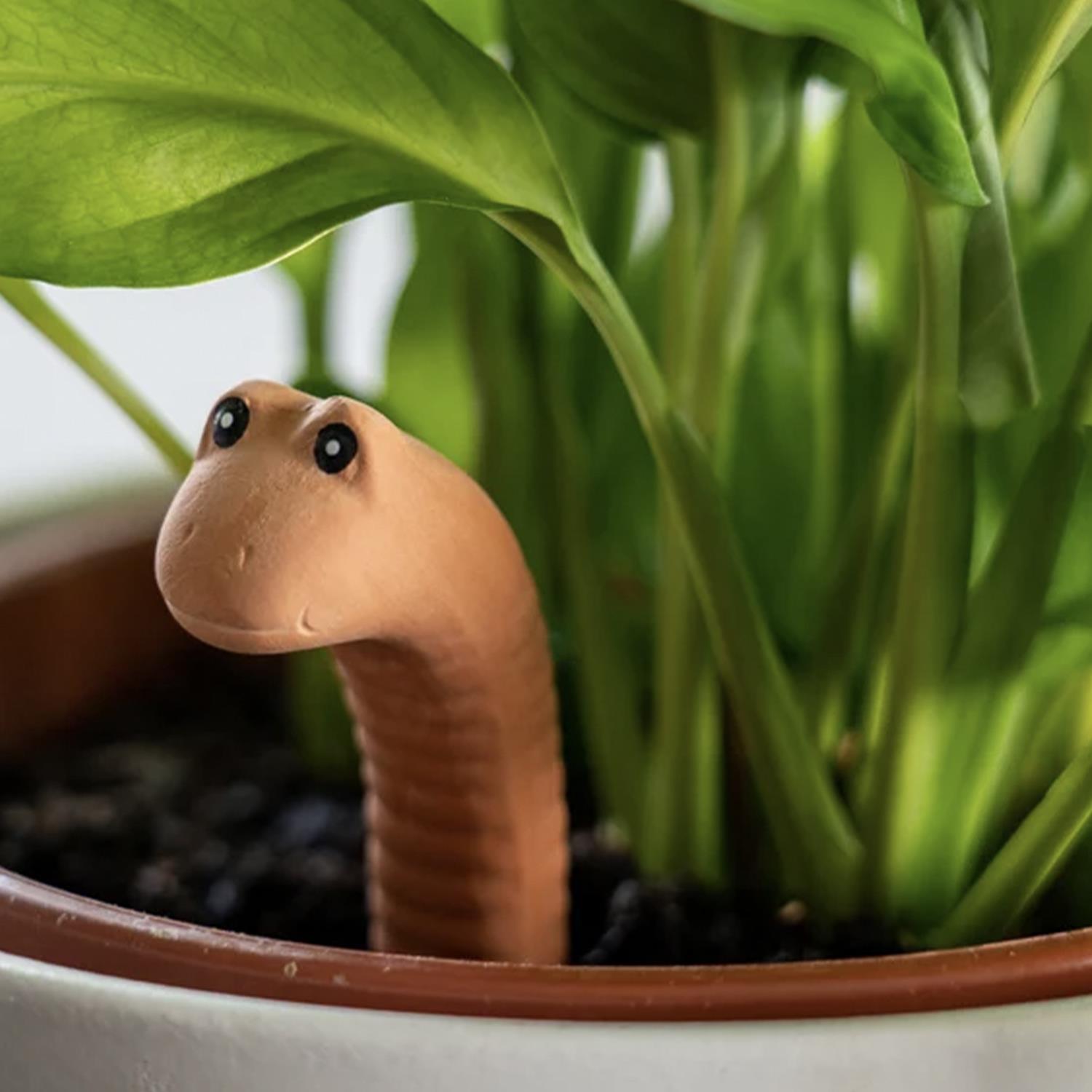 Water Worm | Little Red Nursery, LLC